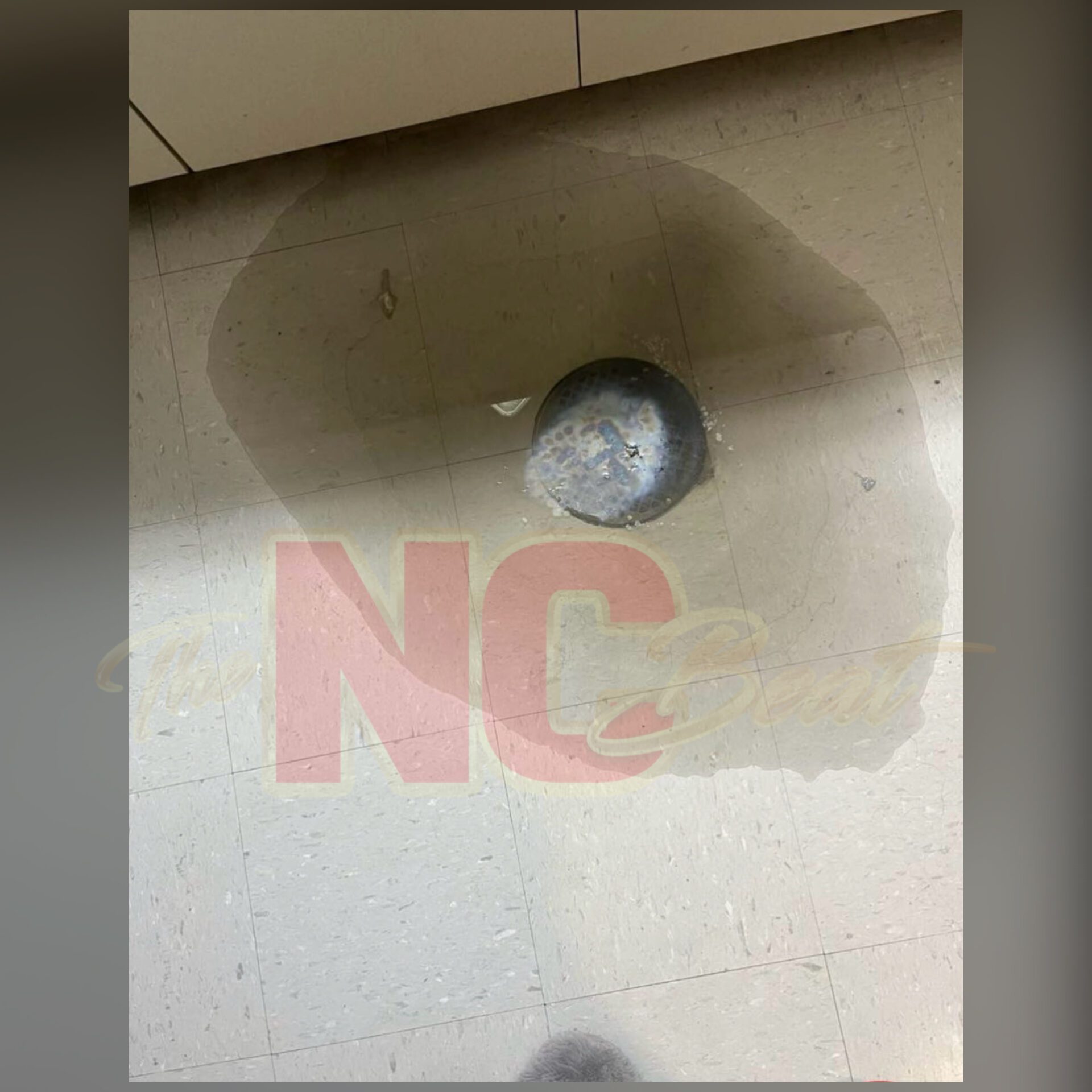 NCCU Students Protest Housing Conditions; 5 Arrested