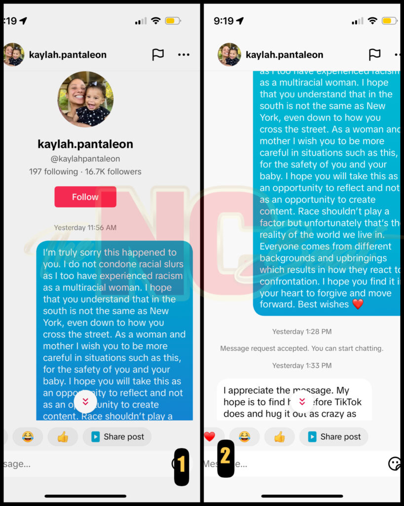 Raleigh Woman Andrea Ingram Calls Woman Slur On Video