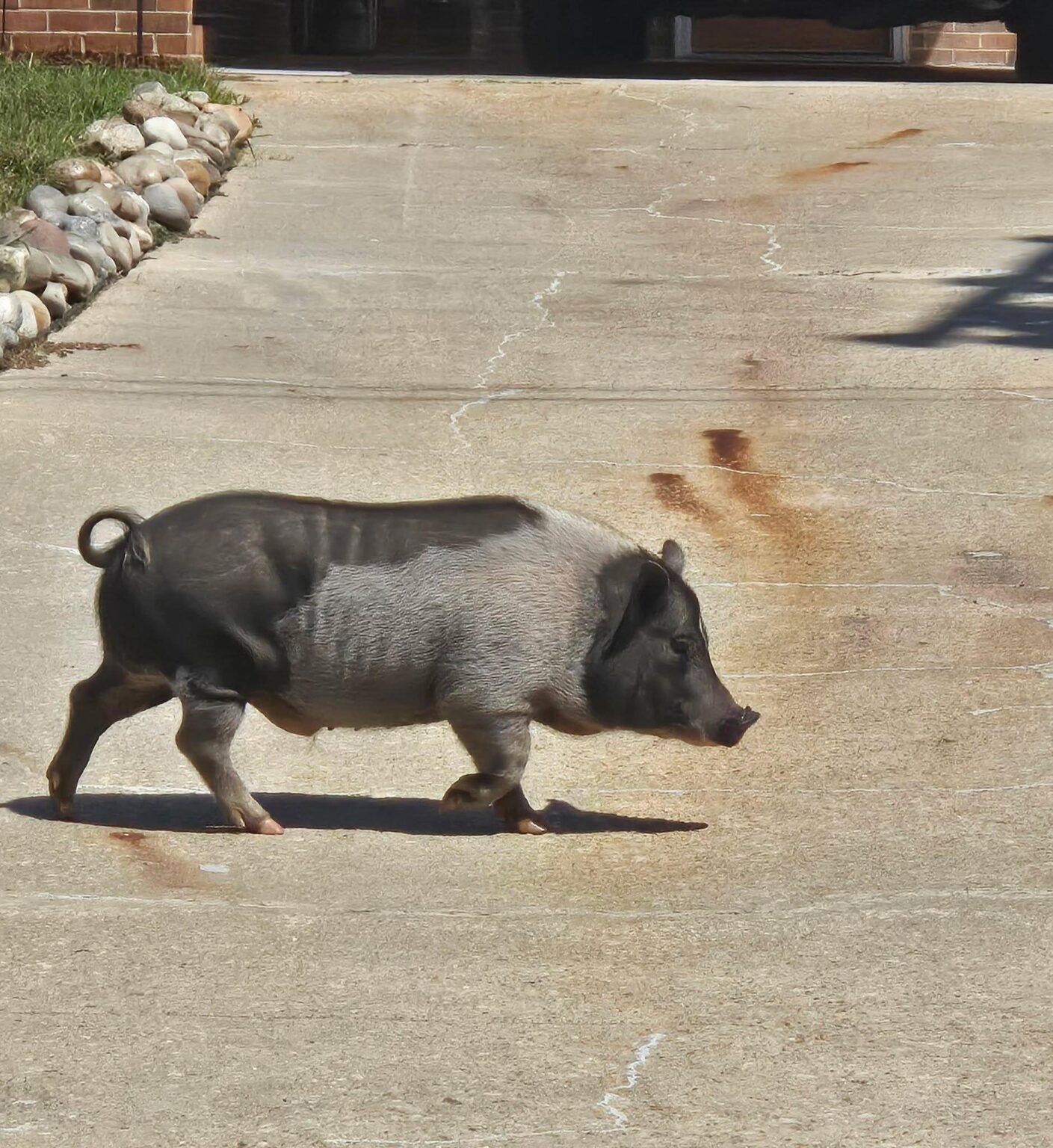 Chris P Bacon Found Dead In Cumberland County