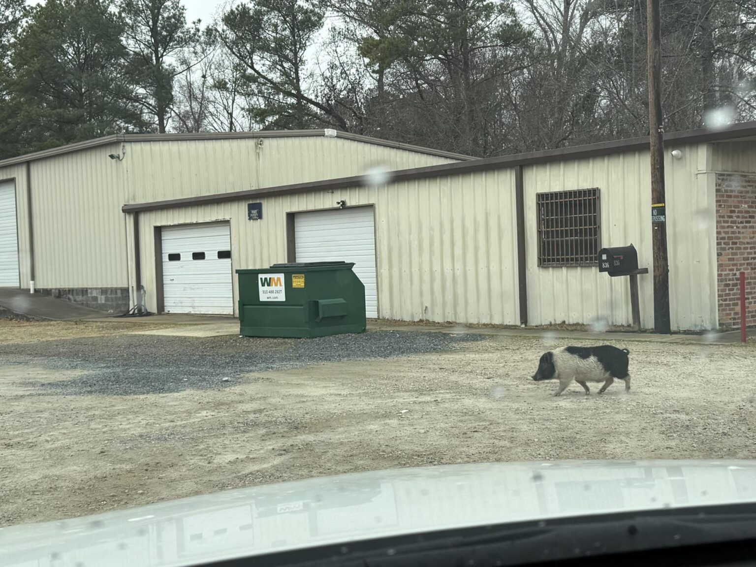 Chris P Bacon Found Dead In Cumberland County