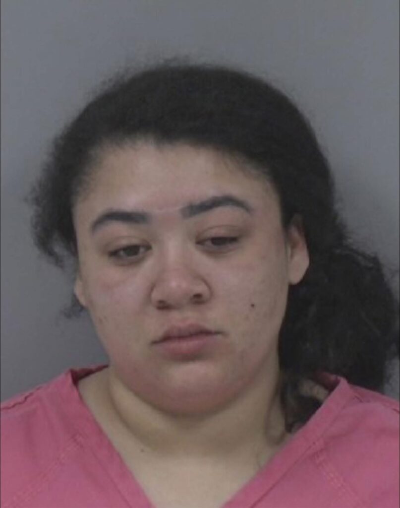 Goldsboro Woman Charged For Driving 103 MPH In Snowstorm
